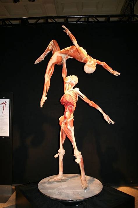 The Dancers Escultura De Gunther Von Hagens Para La Exposición