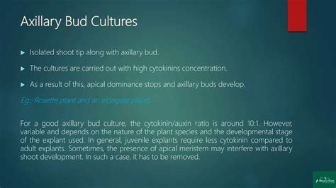 Clonal Propagation Introduction Techniques Factors Applications And Disadvantages Pptx