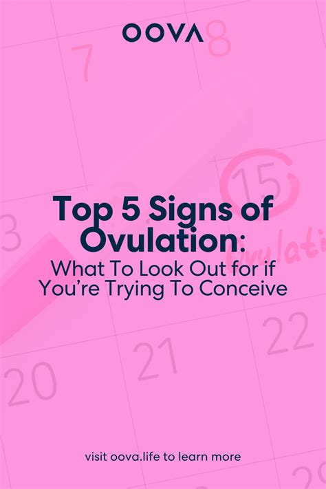 Top 5 Signs Of Ovulation What To Look For Artofit