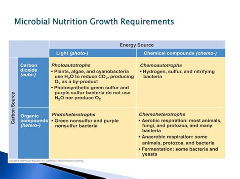 PPT Microbial Nutrition And Growth Understanding The Principles And Processes PowerPoint