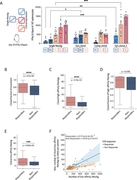 Neoantigen Architectures Define Immunogenicity And Drive Immune Evasion Of Tumors With