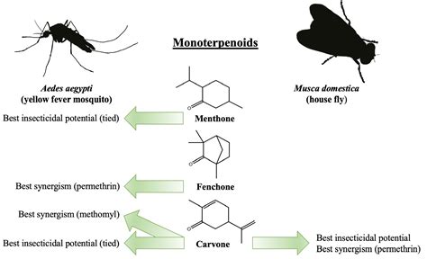 Insecticidal And Synergistic Potential Of Three Monoterpenoids Against The Yellow Fever Mosquito