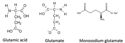 Monosodium Glutamate Chemical Structure