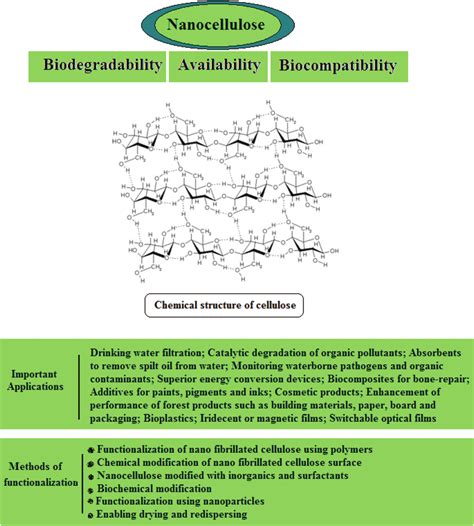 Nanocellulose And Its Important Applications Download Scientific Diagram