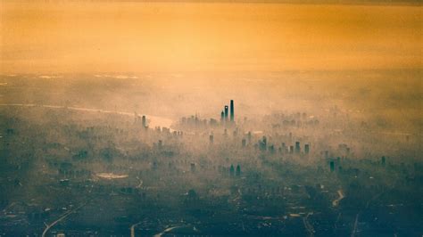 Leandro Caceres Fear Youtube