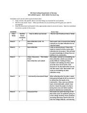 Practicum Log New Docx SW State College Department Of Nursing RN To BSN Program