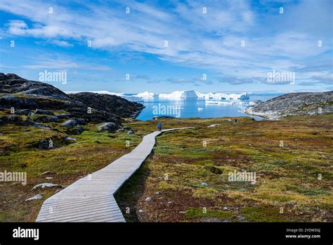 View Over The Ilulissat Icefjord Unesco World Heritage Site Western