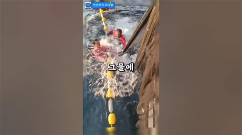 바다 낚시중 그물에 걸린 초대형 생명체의 비밀 Youtube