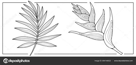 야자수 가지와 식물이 검은색 디자인 스톡 벡터 ©ahapovalilia 664146522