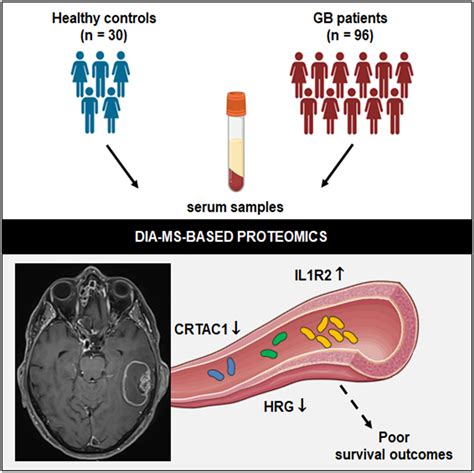 Molecular Oncology Wiley Online Library