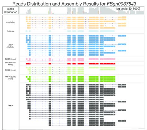 Rna Seq Read Coverage Annotation And Isoform Discovery Results Of