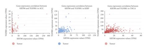 Knockdown Of Krt80 Inhibits Tgf βsmad Signaling In Nsclc Cells A