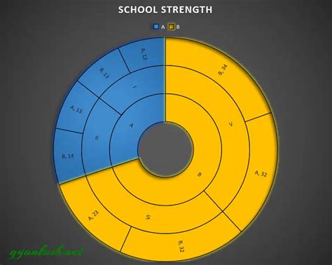 Draw Hierarchical Data Using Sunburst Chart In Excel With Examples