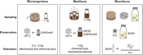 Figure 2 From Environmental Dna Metabarcoding For Benthic Monitoring A