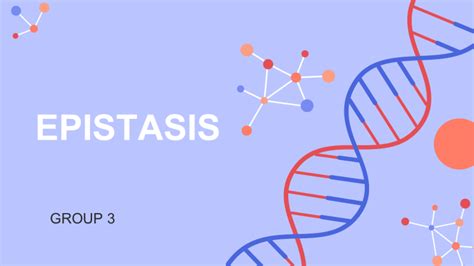 Epistasis Gene Interaction And Phenotype Expression