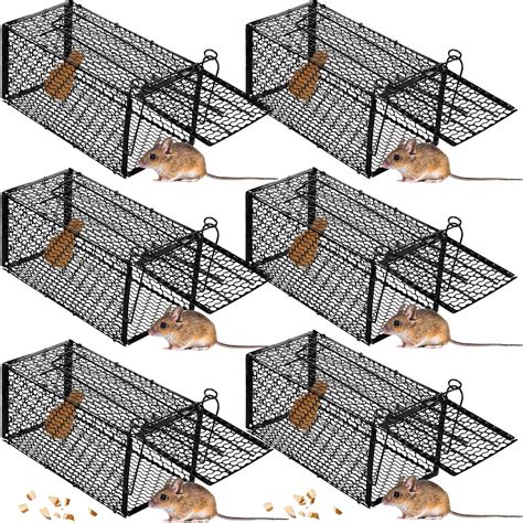Amazon.com : Qualirey 6 Pcs Humane Rat Trap Small Chipmunk Mouse Squirrel Cage Rodent Animal ...