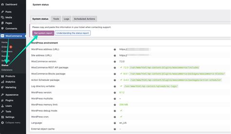 How To Get Woocommerce System Status