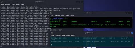 Getting Started With Docker On Kali Linux A Complete Guide InfosecScout