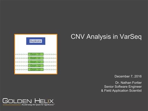 Cnv Analysis In Varseq Pdf Biotech And Biomedical Industry Industries