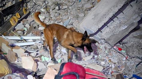 Третият ден Жертвите на трусовете в Турция и Сирия вече са над 11 000 спасителите нямат време