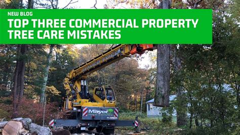 Top Three Commercial Property Tree Care Mistakes