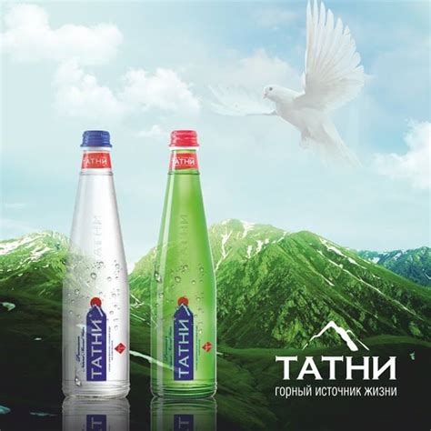 TATNI - Минеральная вода из Армении. Тел. (495) 725-75-15