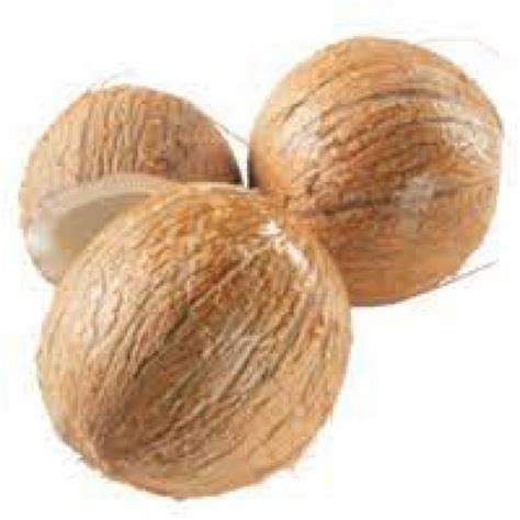 Coconutcount Object Detection Dataset By Coconut