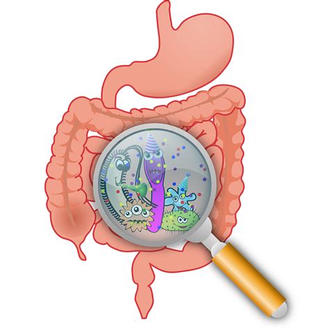 What Causes Fodmap Intolerance New Life Nutrition