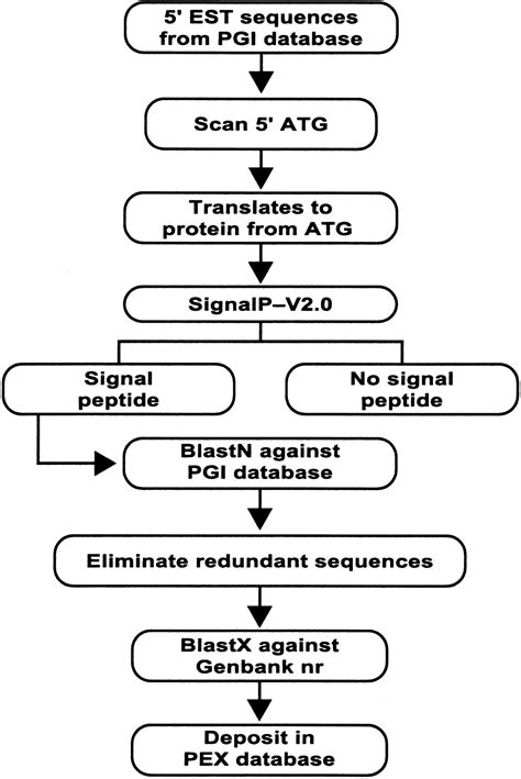 Expressed Sequence Tag Meddic
