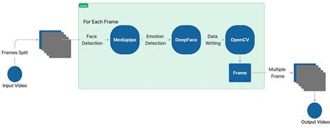Fast Facial Emotion Monitoring Ffem An Open Source Tool For Simplified Facial Emotion