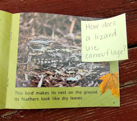 Whos Who And Whos New Monitoring Comprehension