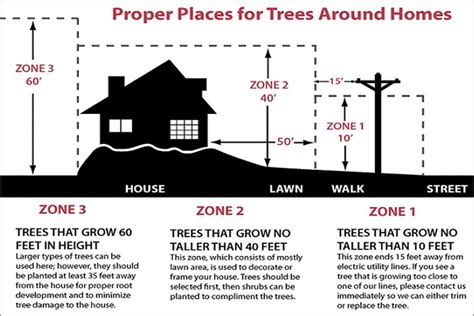 Proper Tree Placement Tree Height And Shape Tree Type Growth Rate