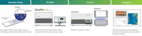 Bulk Gene Expression Spatial Profiling Grant Program Howard University NanoString