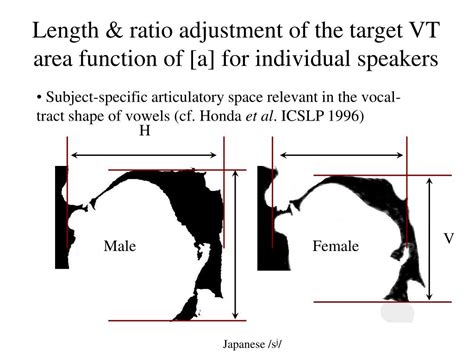 Ppt Modeling Formant Transition Patterns In Vcv Sequences Powerpoint Presentation Id 5690195