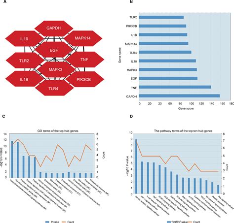 Identification Of Key Genes And Pathways Using Bioinformatics Analysis Idr
