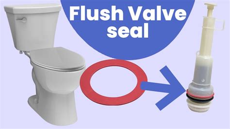 Toilet Flush Valve Fitting Installation