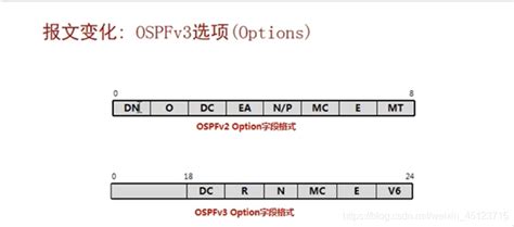 ospfv3与ospfv2的异同点 多实例实验 ospfv3和ospfv2的共同点 csdn博客