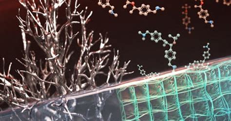 kaist 세계 최장 수명 리튬 금속 전지 기술 개발