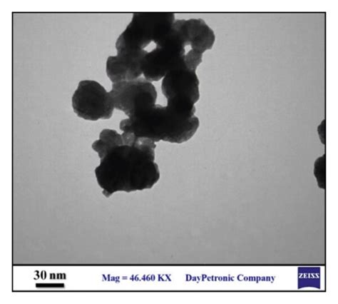 Characterization Of Zno Nps A Tem B Dls C Afm Histogram Image