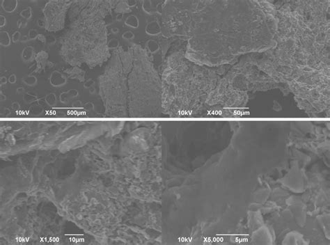 sem micrographs of wreckages of the coating formulation 1 after thermal