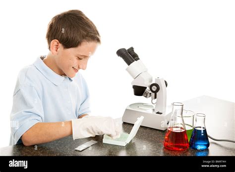 Pollen Microscope Slides