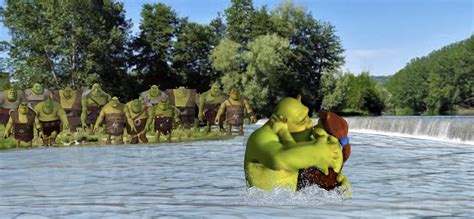 Shrek And Fiona Kissing In The Water By Ivancastano On Deviantart