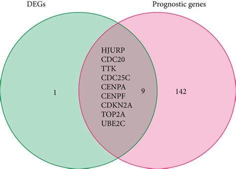A List Of Possible Ddr Related Genes Identified In The Tcga Cohort