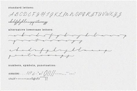 Script Font Swashes Font Calligraphy Font Signature Font Logo Font Handwriting Font Script