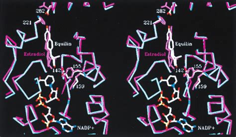 Least Squares Superposition Of The Structures Of Ternary Complexes With
