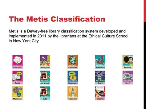 Contextualizing A Classification System Pptx