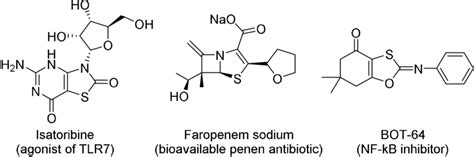 Examples Of Biologically Active Molecules Download Scientific Diagram