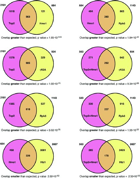 Genome Wide Protein Binding Correlations Download Scientific Diagram
