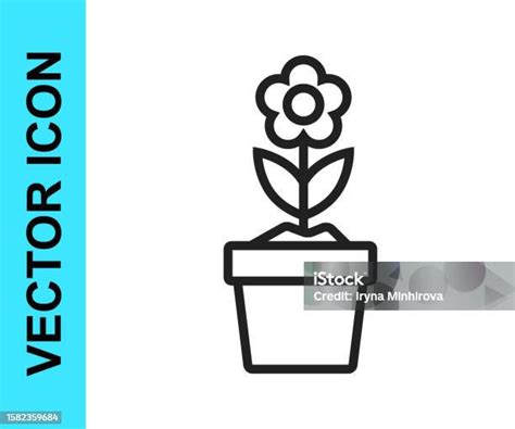 검은 선 냄비 아이콘에 있는 꽃은 흰색 배경에 분리되어 있습니다 냄비에 자라는 식물 화분에 심은 식물 간판입니다 벡터 0명에 대한 스톡 벡터 아트 및 기타 이미지 Istock