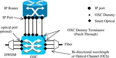 Node Structure For Our Ip Over Optical Network Download Scientific